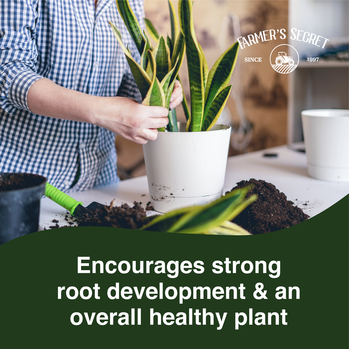 Snake Plant Food 8oz – Farmer's Secret