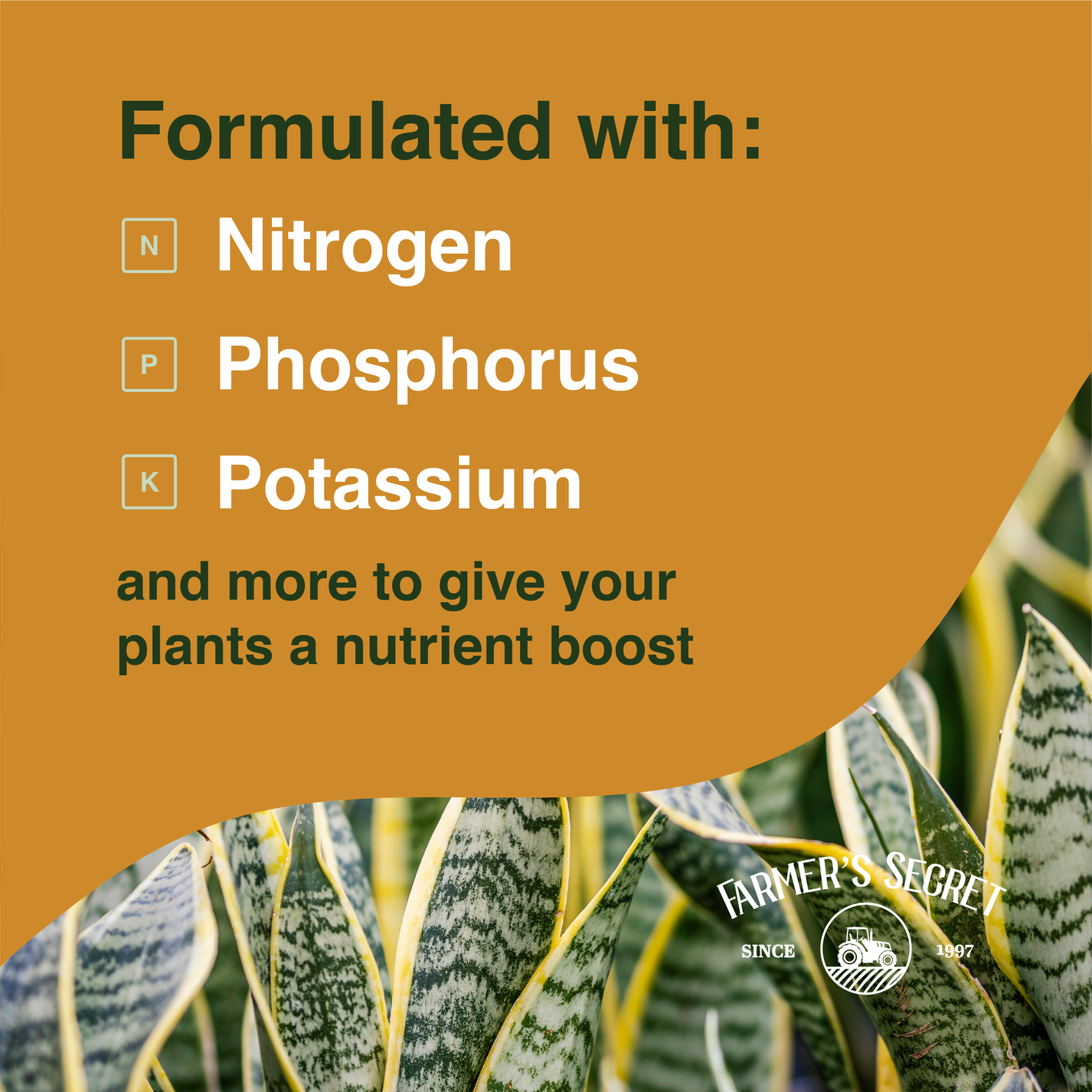 Snake Plant Food 8oz – Farmer's Secret